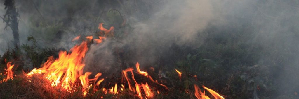 Rook en vuur - Safety 4 All